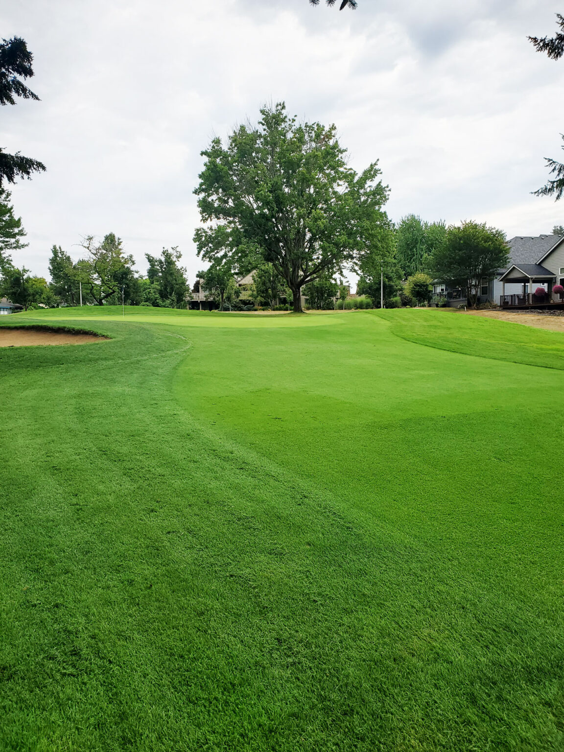 Fairway Village Golf Course – Vancouver, WA – Vancouver's Hidden Gem
